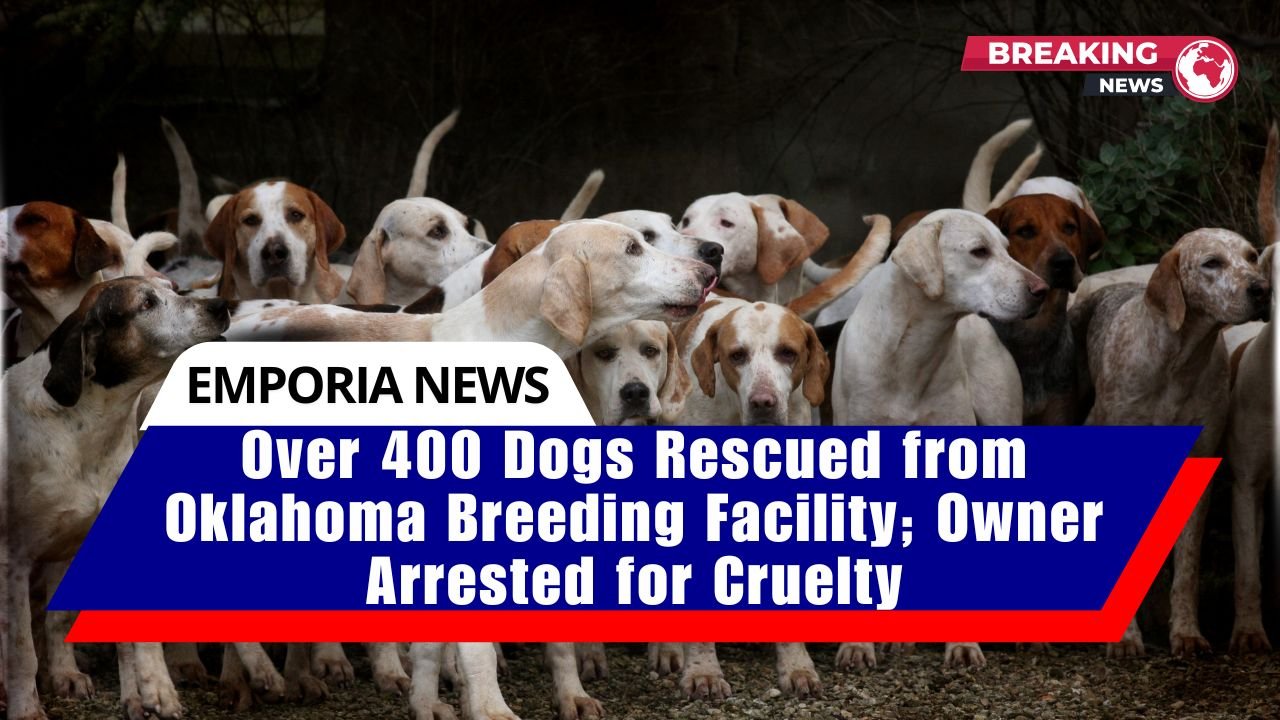 Over 400 Dogs Rescued from Oklahoma Breeding Facility; Owner Arrested ...